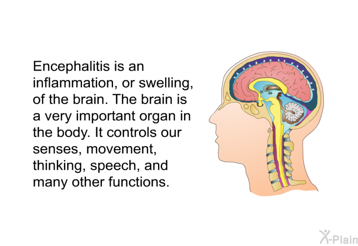 PatEdu.com : Encephalitis