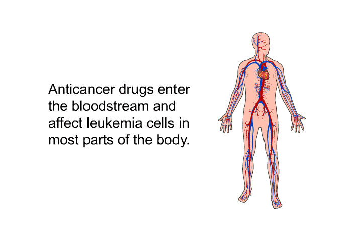 PatEdu.com : Leukemia