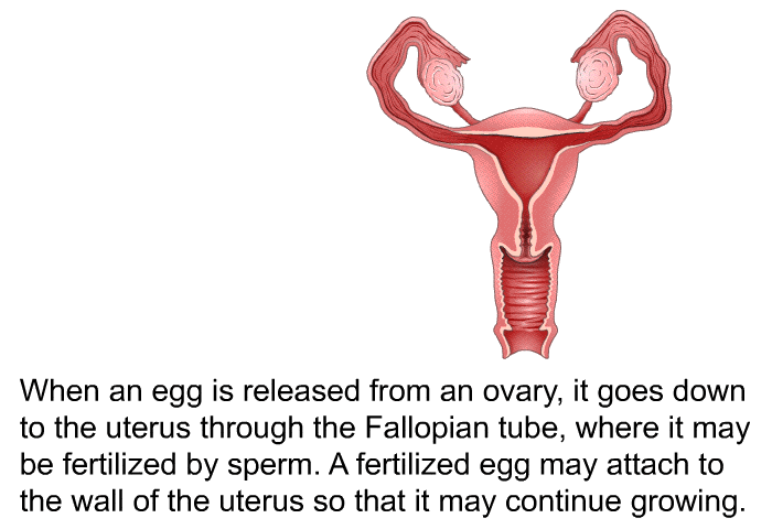Cervix Disorders
