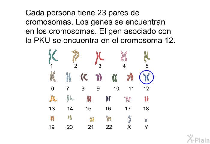 PatEdu.com : Fenilcetonuria o PKU o FC